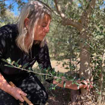 Pagesa - farmer Maggie Whitman – Mother's Garden | Extra Virgin Olive Oil